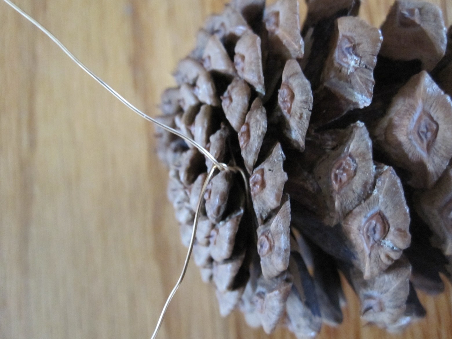 How To: Pinecone Wreath