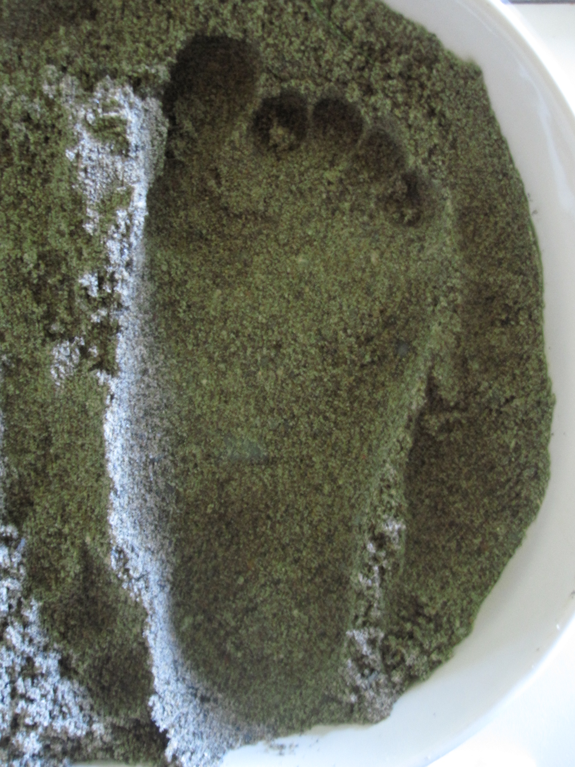 Poured Plaster Feet Sand Foot Mold