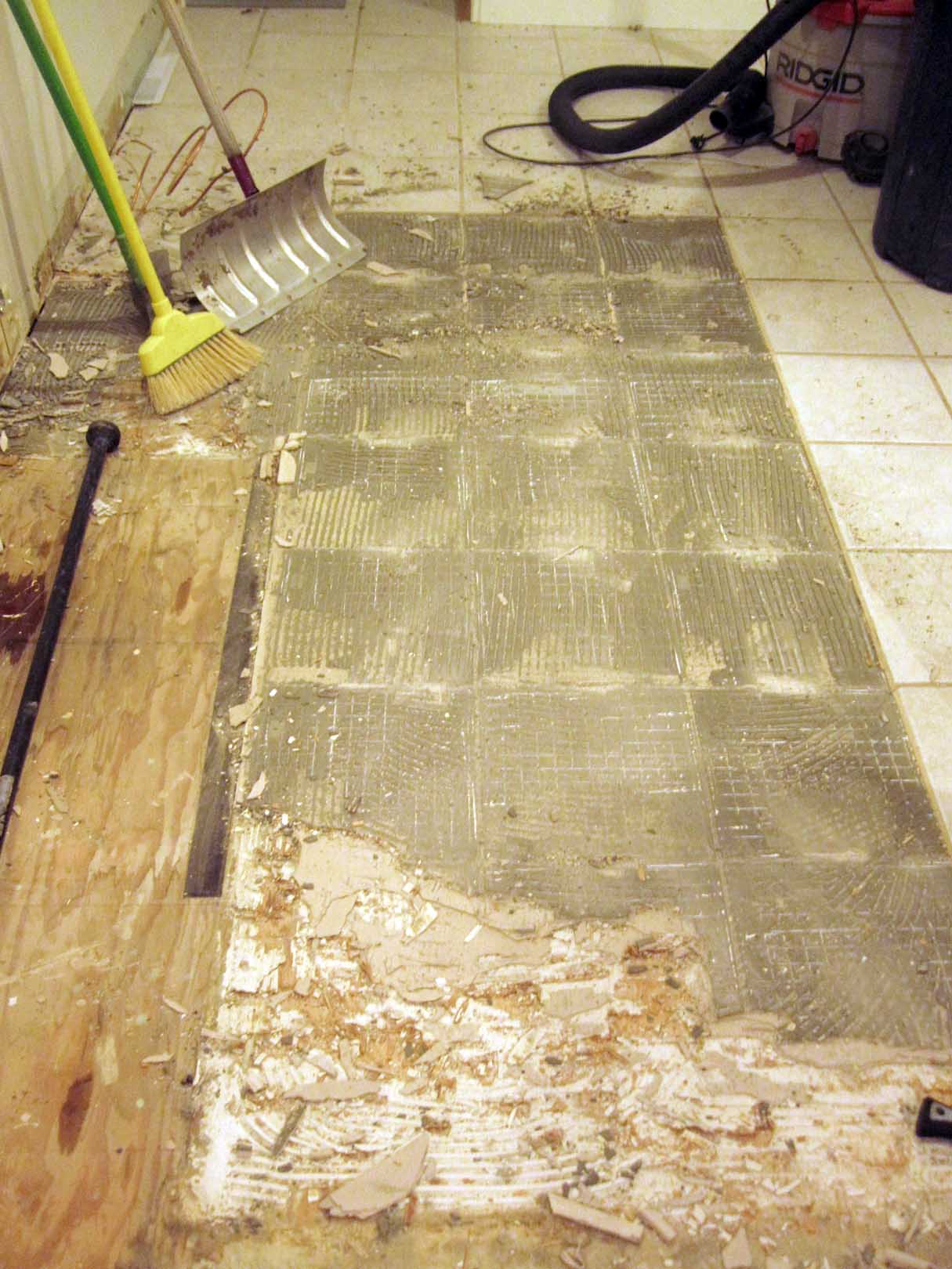 After the Dust Settles