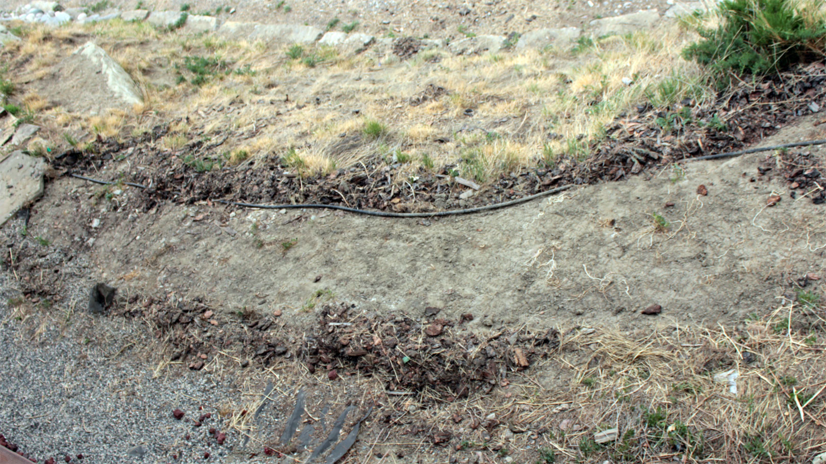 Yard-Demo-Landscaping-Along-Driveway