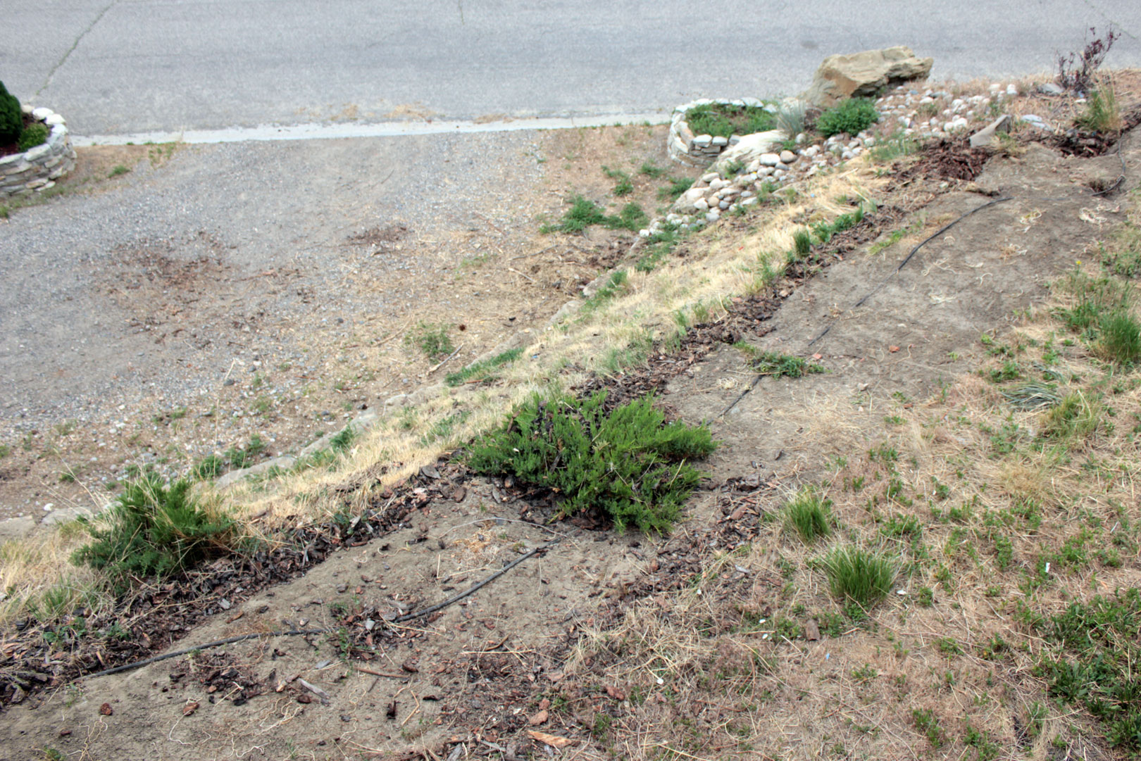 Yard-Demo-Landscaping-by-Driveway-Bottom