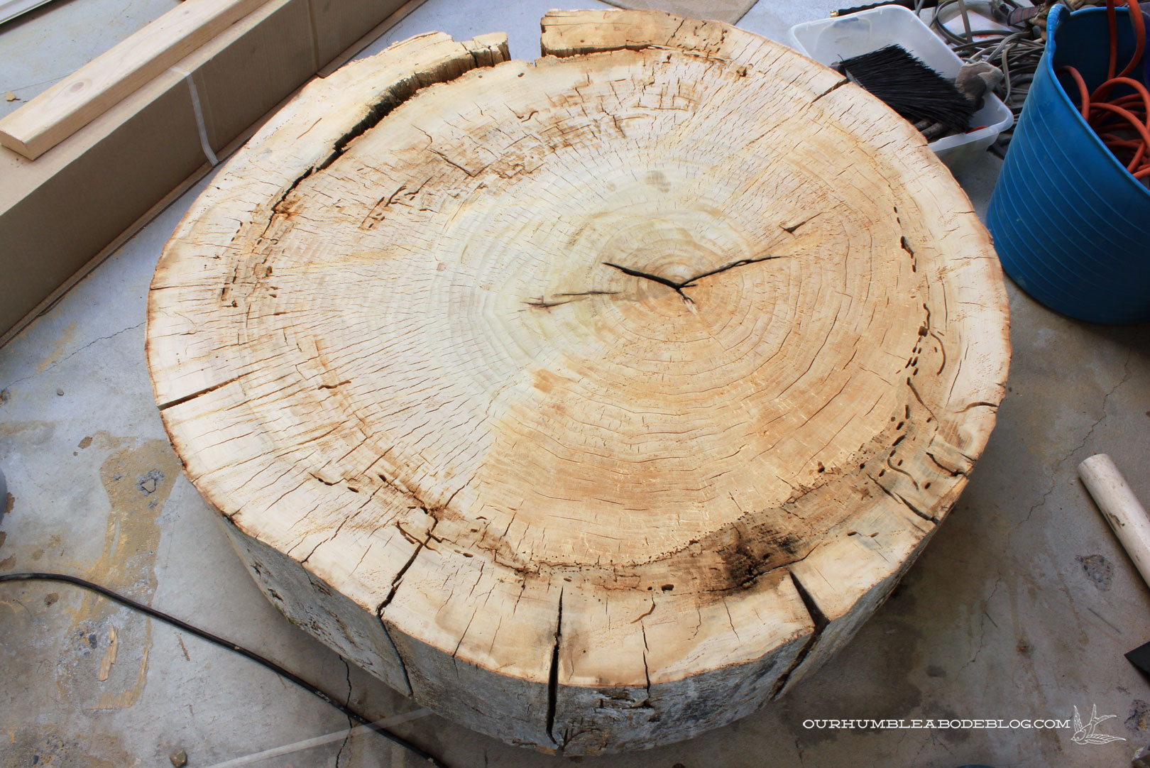 Stump-Coffee-Table-Sanded