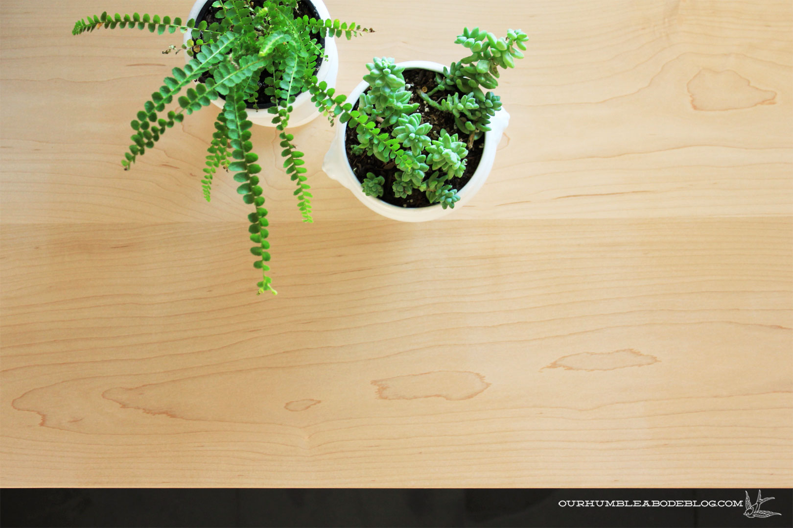 Maple-Desk-Top-Above