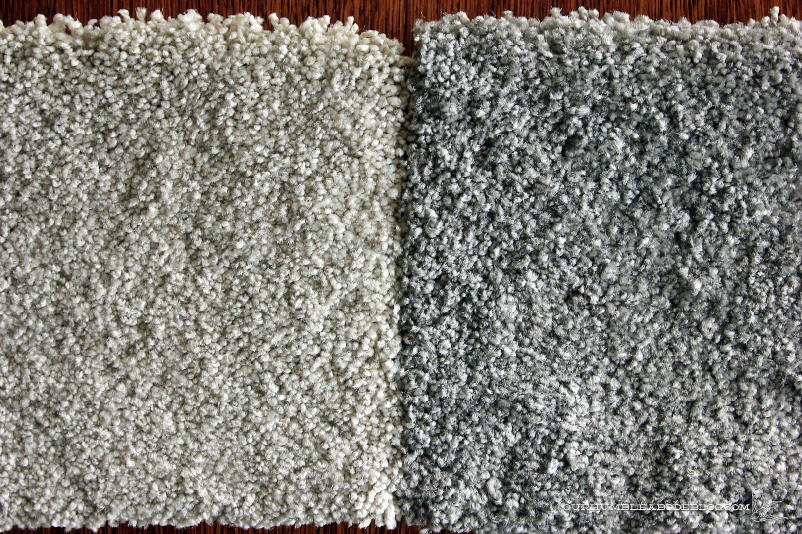 Carpet Sampling