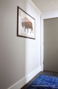 basement-blue-runner-bison-art