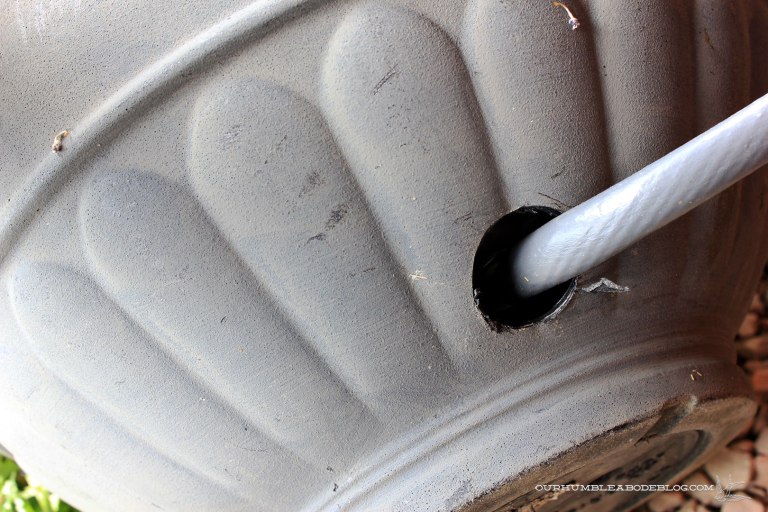 DIY Hose Pot & My Favorite Plants