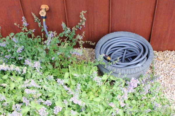 DIY Hose Pot & My Favorite Plants