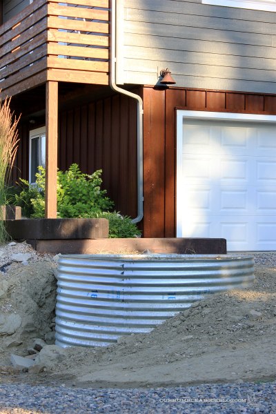 Plans & Plants for the Culvert Planter