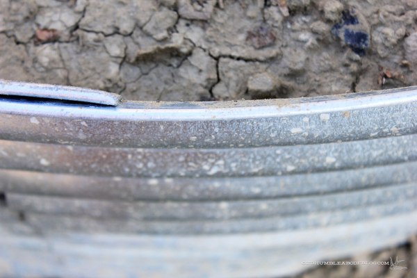 Plans & Plants for the Culvert Planter